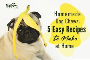 Homemade Dog Chews: 5 Easy Recipes to Make at Home - Mellow premium