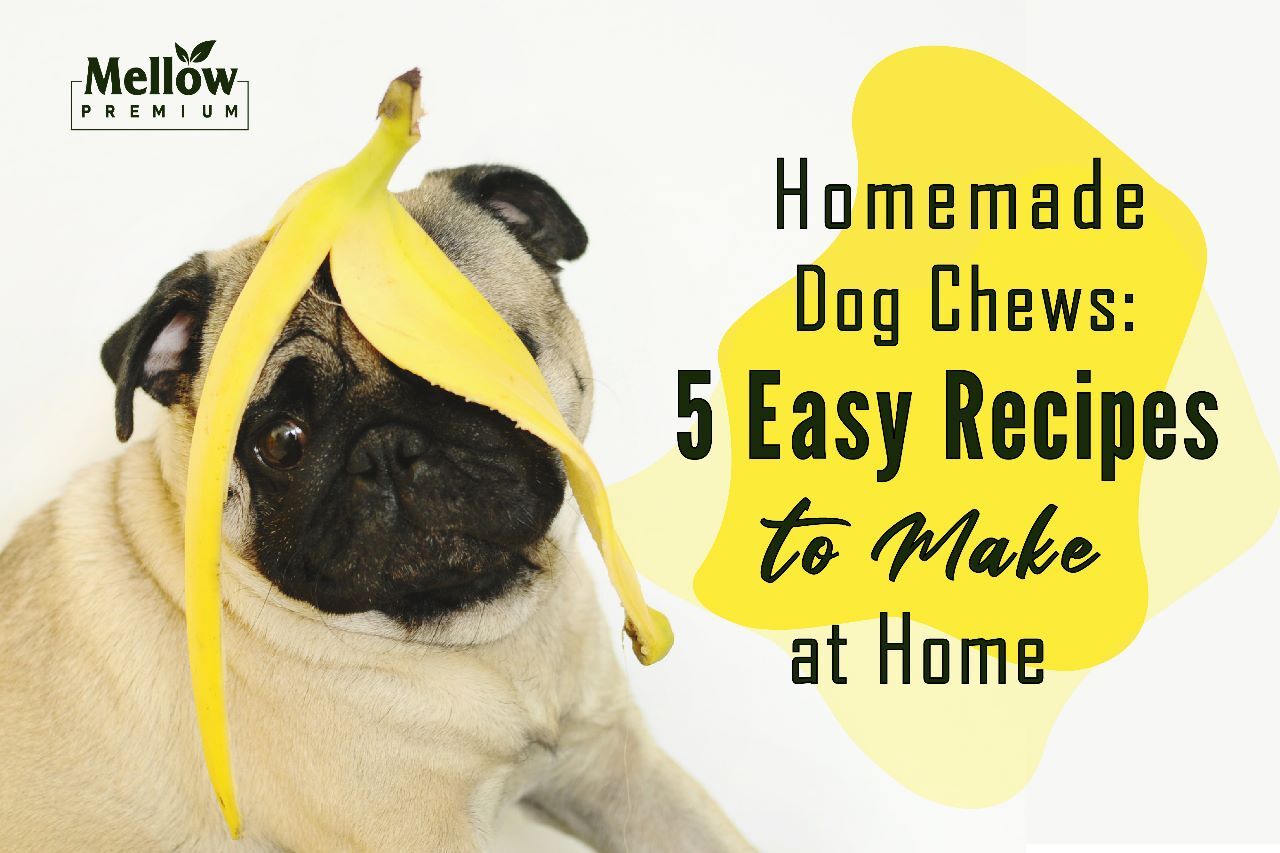 Homemade Dog Chews: 5 Easy Recipes to Make at Home - Mellow premium